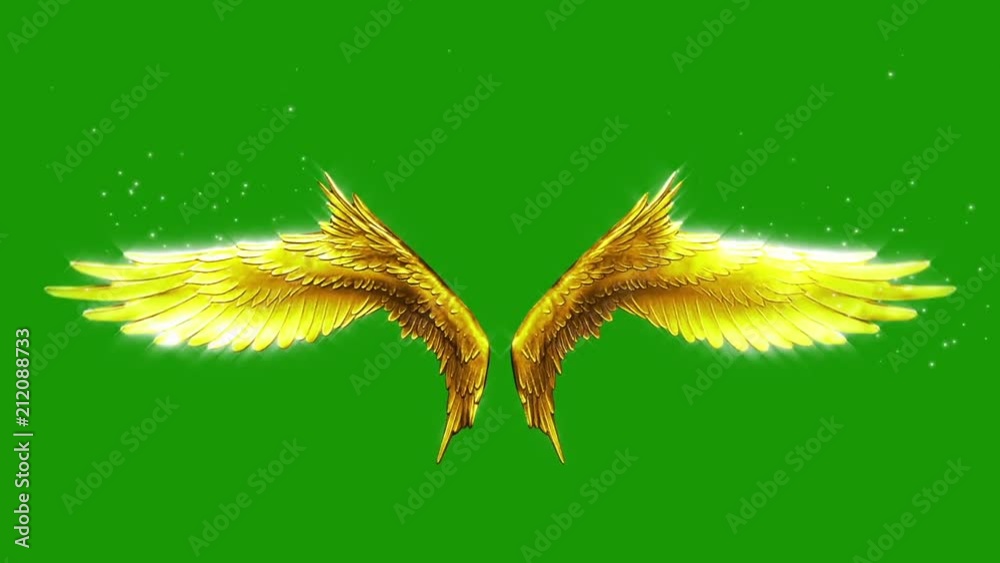 Flapping Gold Wings Particles Loop Animation Stock Video | Adobe Stock