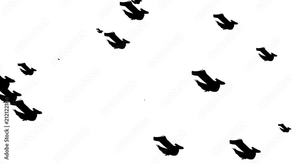 Solid Black Birds Flying Animated Overlay Chroma Key Video for Cartoon ...