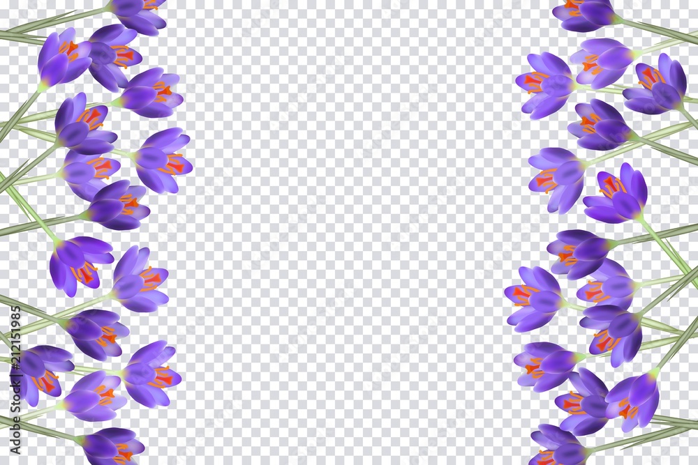 Purple tulip flowers border frame, template on isolated background ...