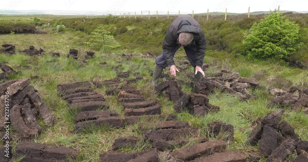 Peatland, bogland, Peat, drainage, coal, decompose, County Mayo. Turf ...