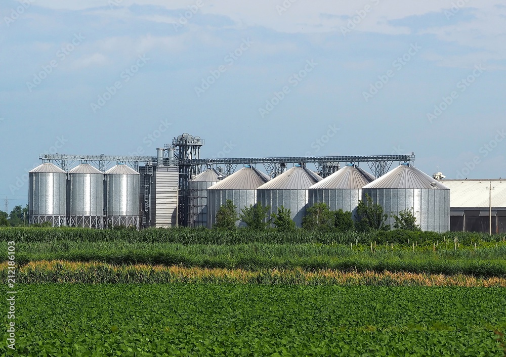 Grain storage site with corrugated steel silos and grain distribution ...