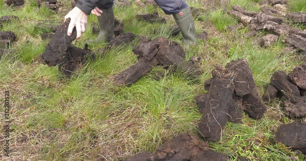 Peatland, bogland, Peat, drainage, coal, decompose, County Mayo. Turf ...