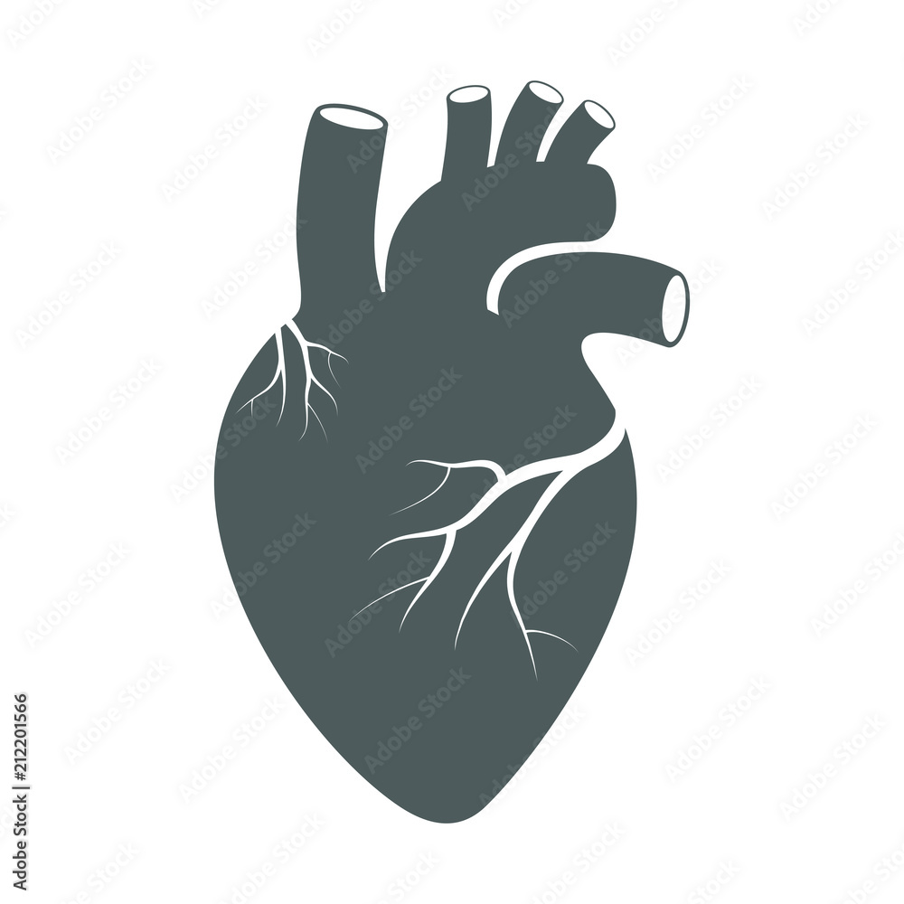 Heart graphic icon. Heart human organ sign isolated on white background ...
