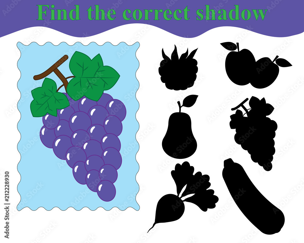 Find the correct shadow, educational game for kids. Bunch of grapes ...