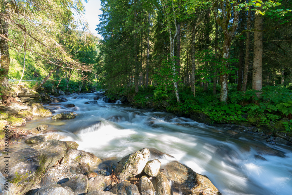 Kleiner Bach im Wald Stock Photo | Adobe Stock