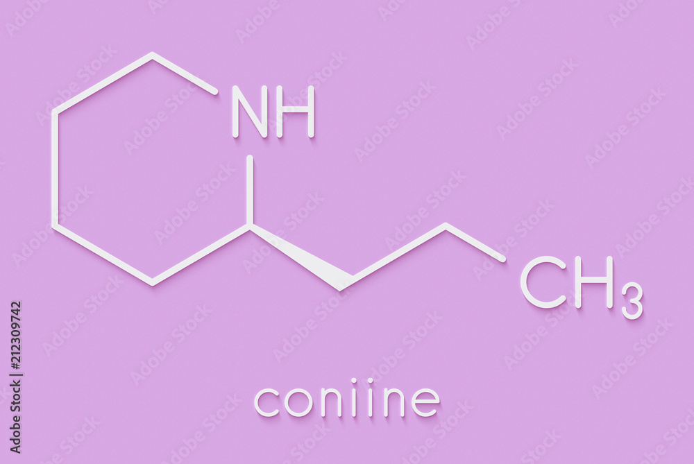 Coniine herbal toxin molecule. Present in poison hemlock (Conium ...