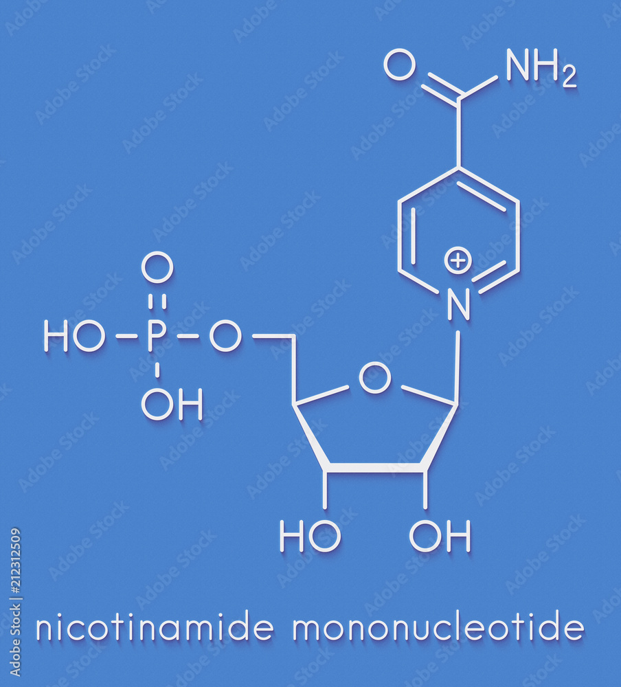 Nicotinamide mononucleotide molecule. Precursor of NAD+. Skeletal ...