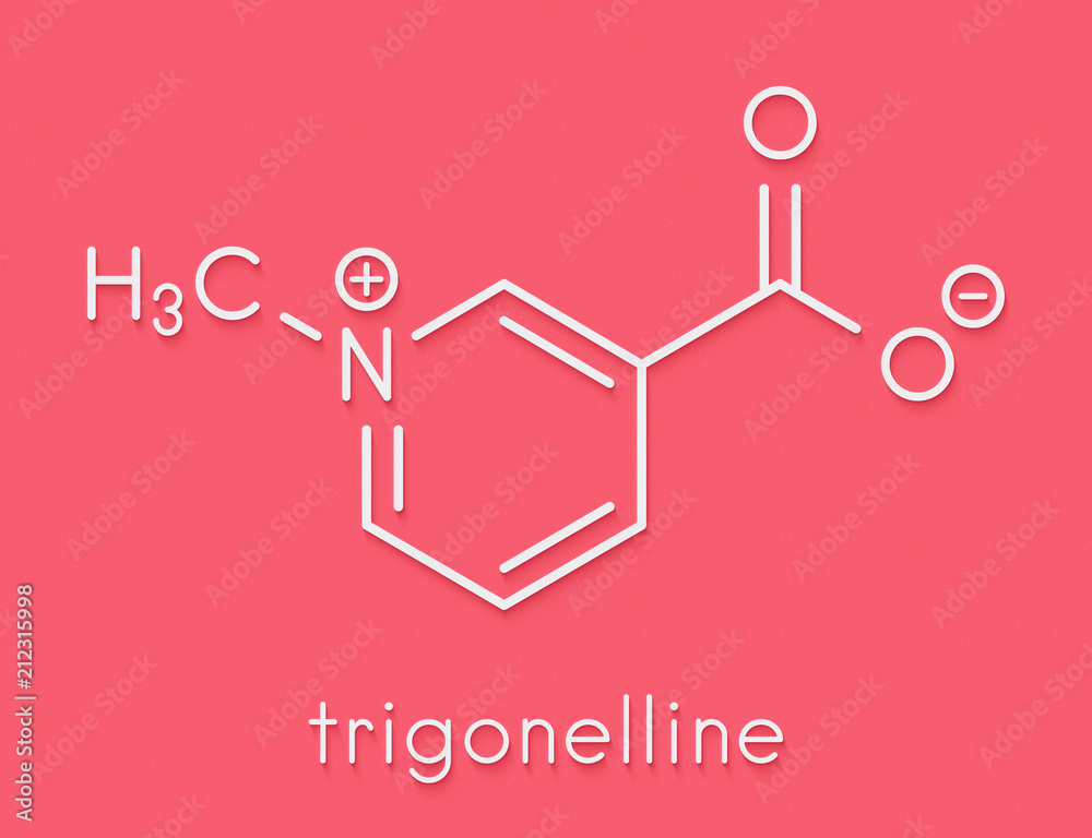 Trigonelline molecule. Metabolite of niacin (vitamin B3) but also found ...