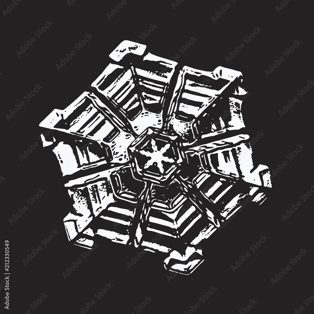 This vector illustration based on macro photo of real snowflake: small ...