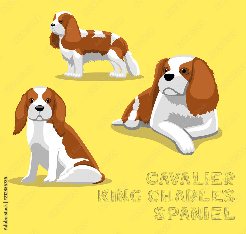 Dog Cavalier King Charles Spaniel Cartoon Vector Illustration Stock ...