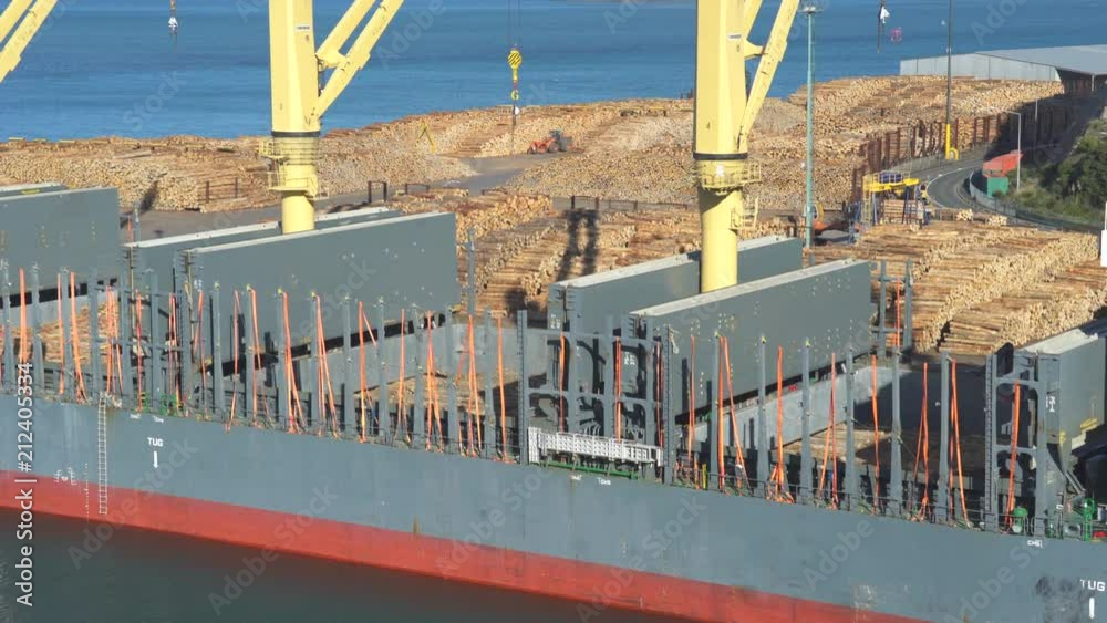 Timber loading industrial port cargo ship - New Zealand Stock Video ...