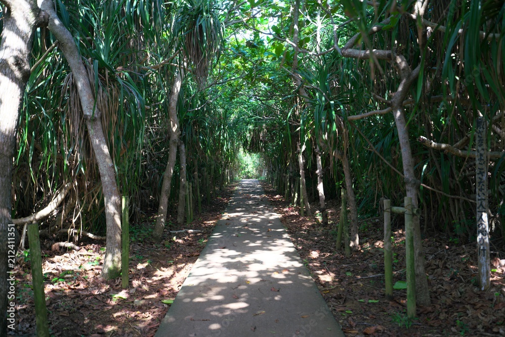 Foto Stock Okinawa,Japan-July 7, 2018: Path to Tori ike, a blue hole at ...