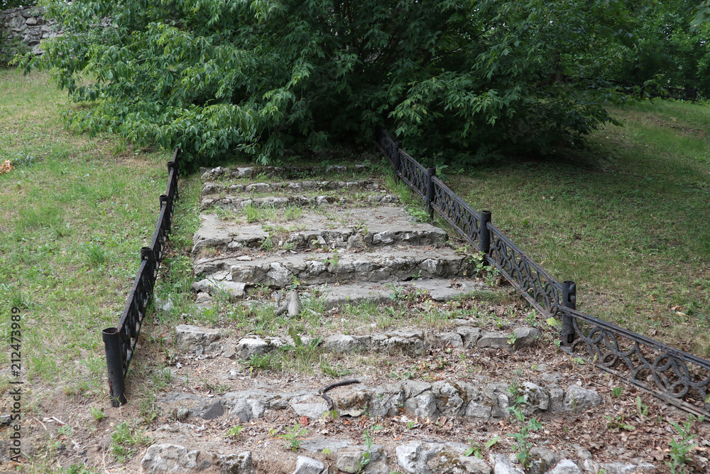 stairs, old stairs, forest, path, nature, tree, green, tree, trees ...