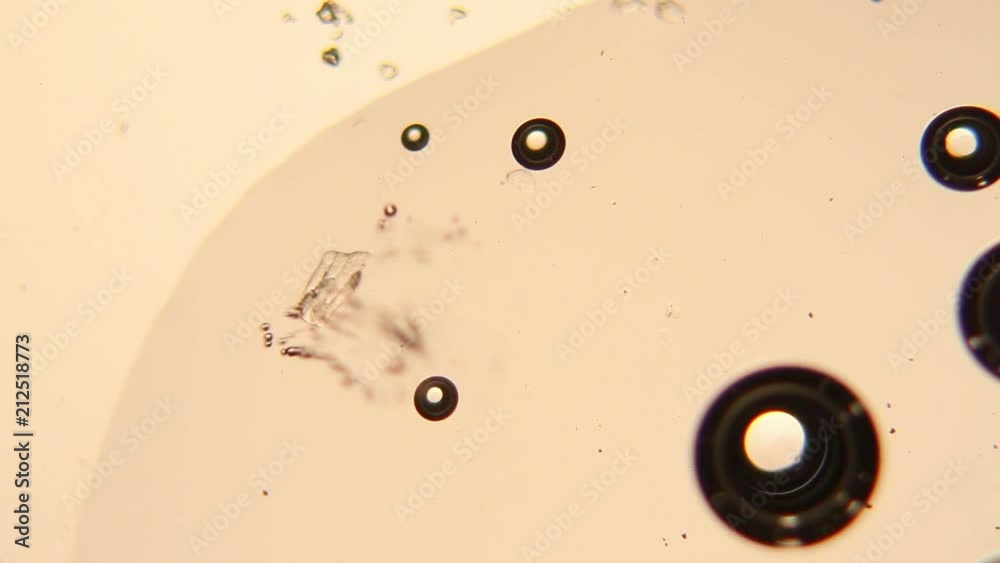 Baking soda and vinegar reaction at the microscope vídeo do Stock ...