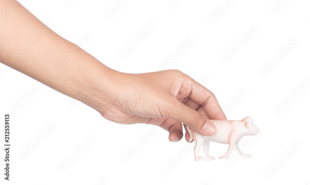 hand holding Plastic toy monkey bear isolated on white background Stock ...