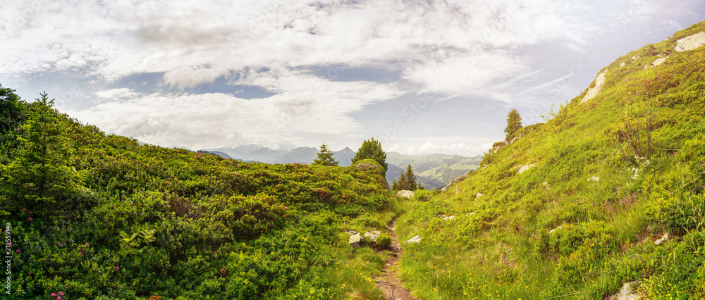 Alpen Panorama mit Wanderweg Stock Photo | Adobe Stock