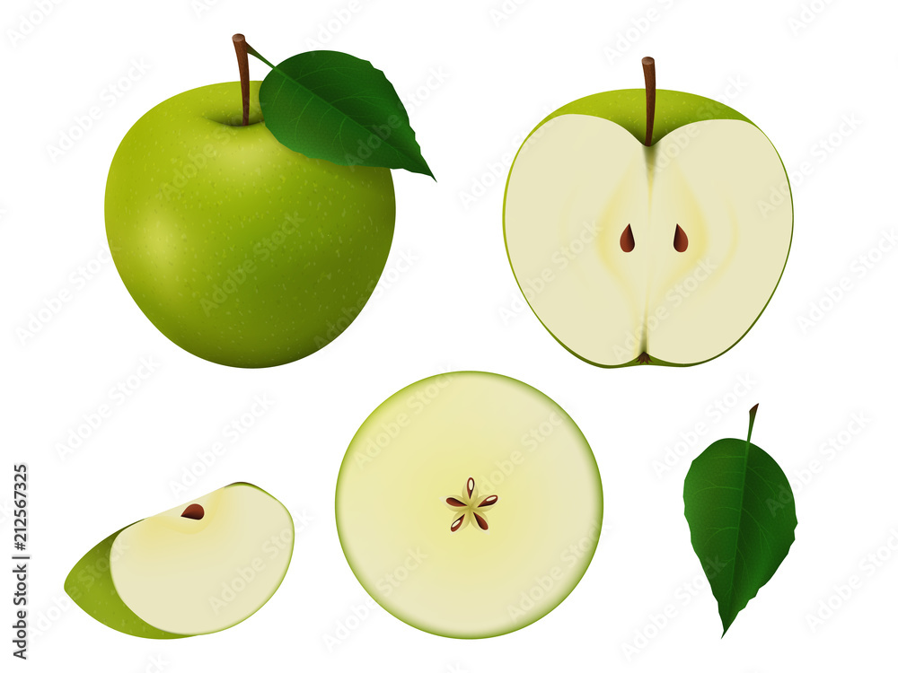 set of green apples of different shapes, whole, slice, cut in half, top ...
