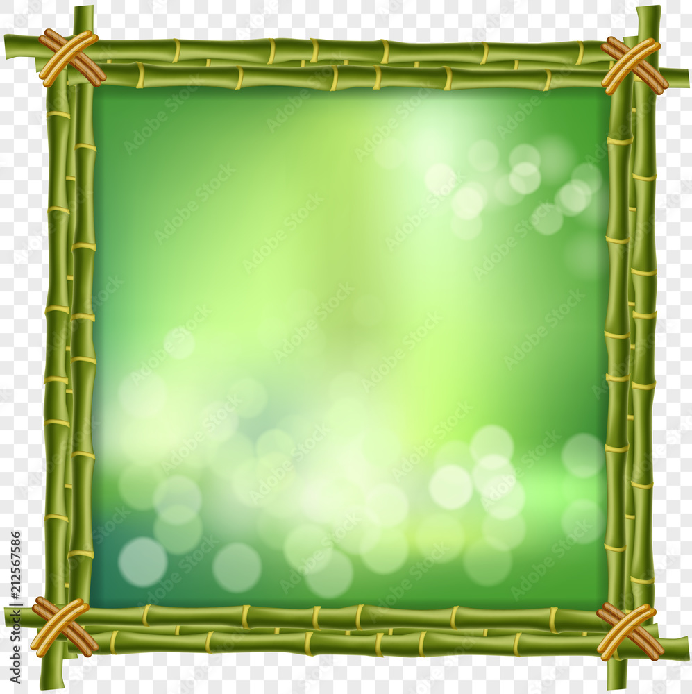 Green Bamboo Frame