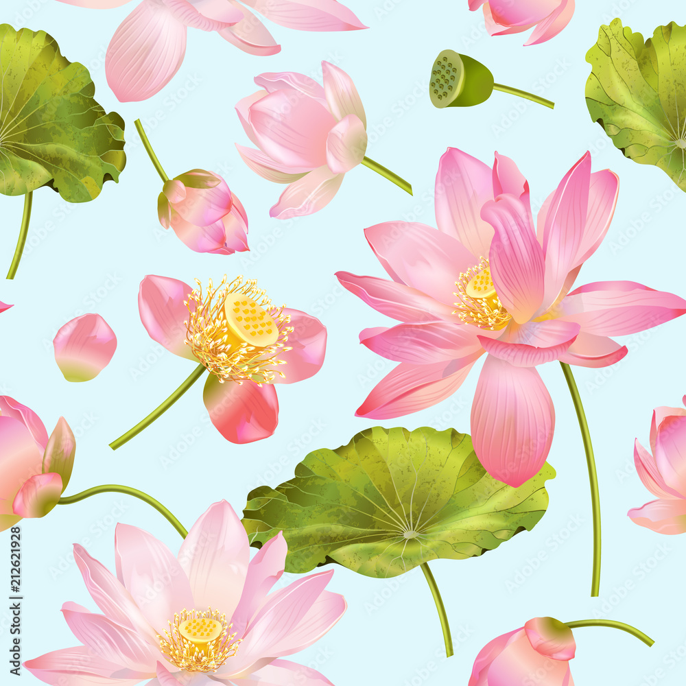 Kamal Flower Clipart Patterns