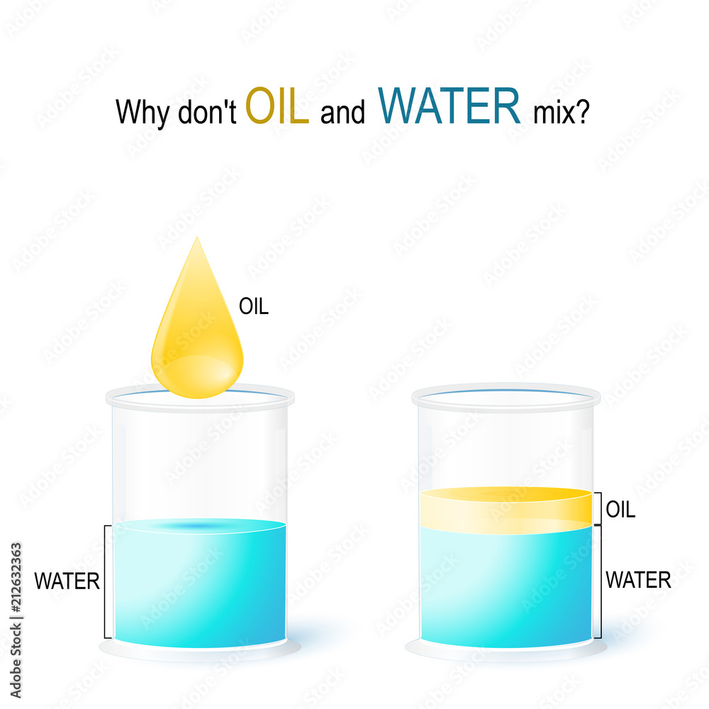 OIL and WATER. school experiment Stock Vector | Adobe Stock