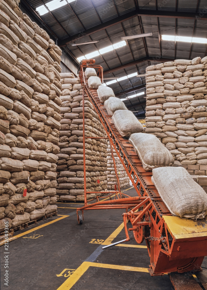 Sacks full of grains Warehouse where cocoa seeds are raised to create a ...