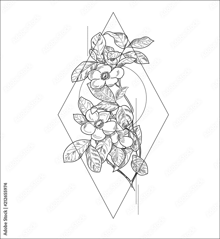 Geometric Flower Drawing