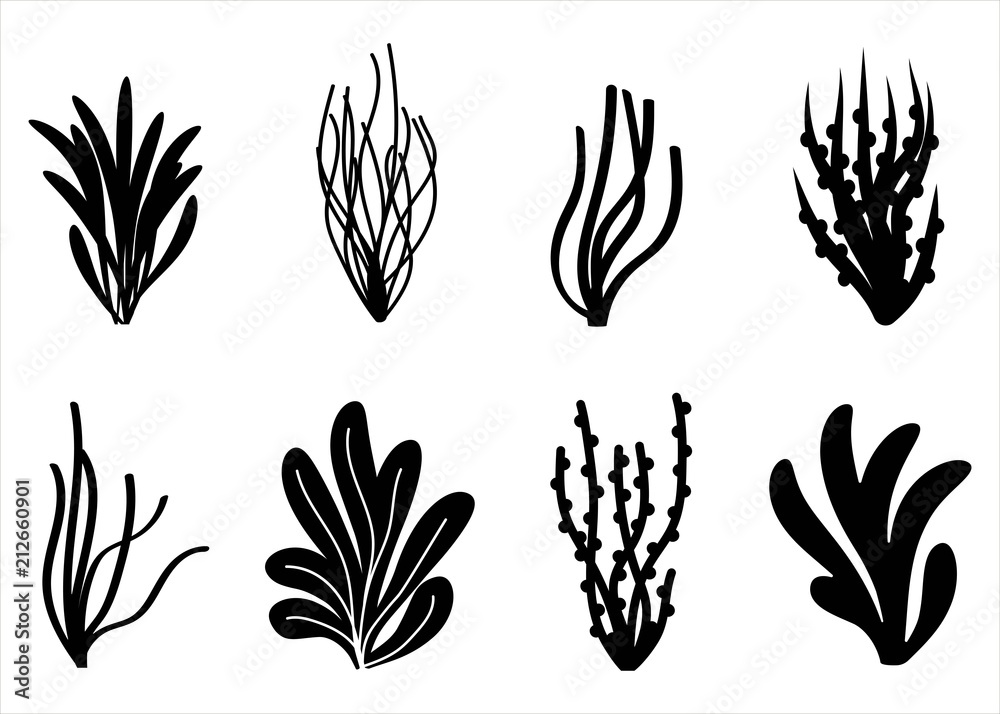 algae icon set. Marine plants isolated vector de Stock | Adobe Stock
