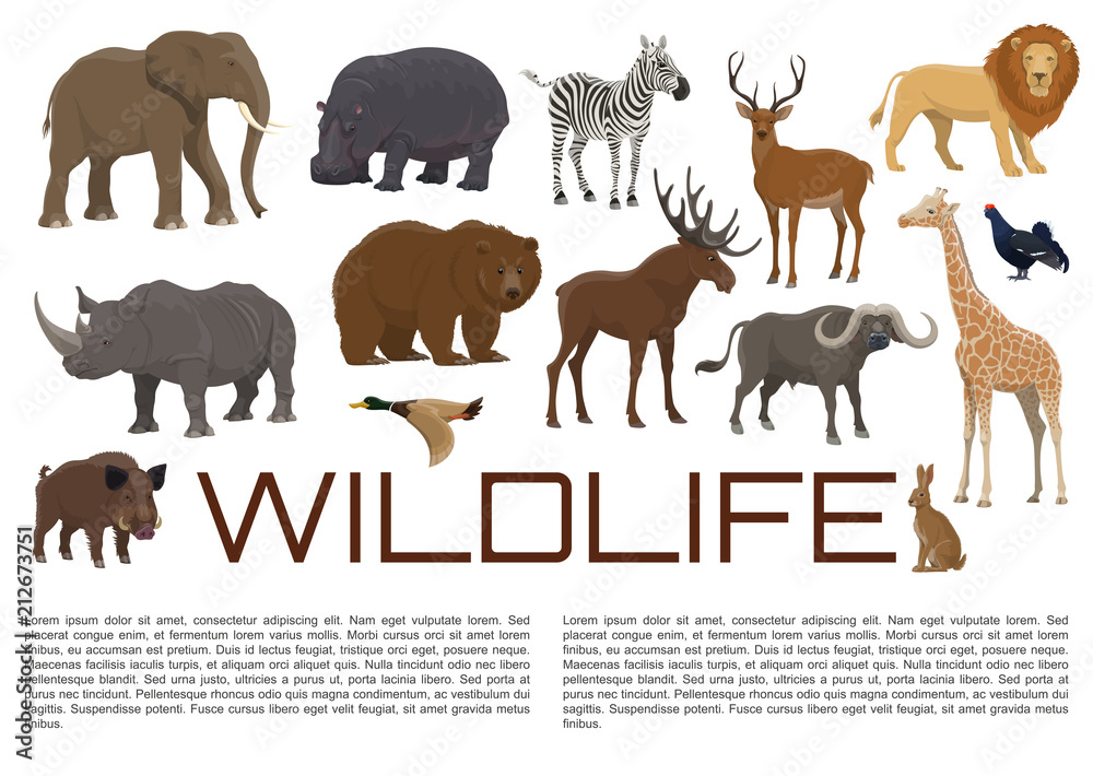 Vector wildlife poster of wild animals Stock Vector | Adobe Stock