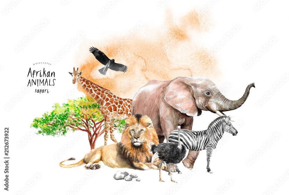 watercolor illustration of African wildlife, drawings of giraffes ...