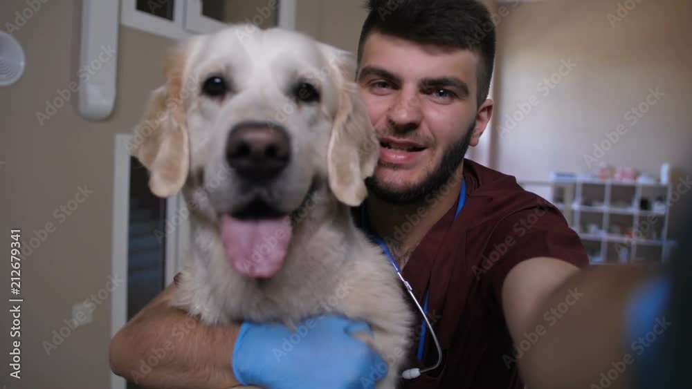Young handsome vet doctor making selfie with his dog patient at pet ...