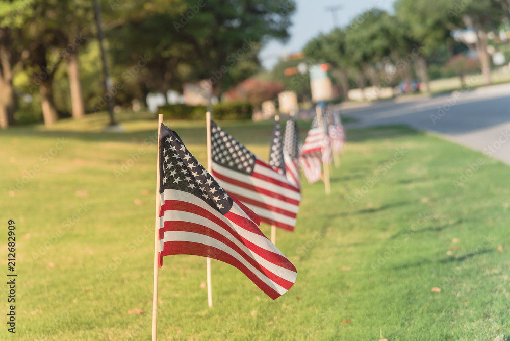 Long row of lawn American Flags on green grass yard blow in the wind ...