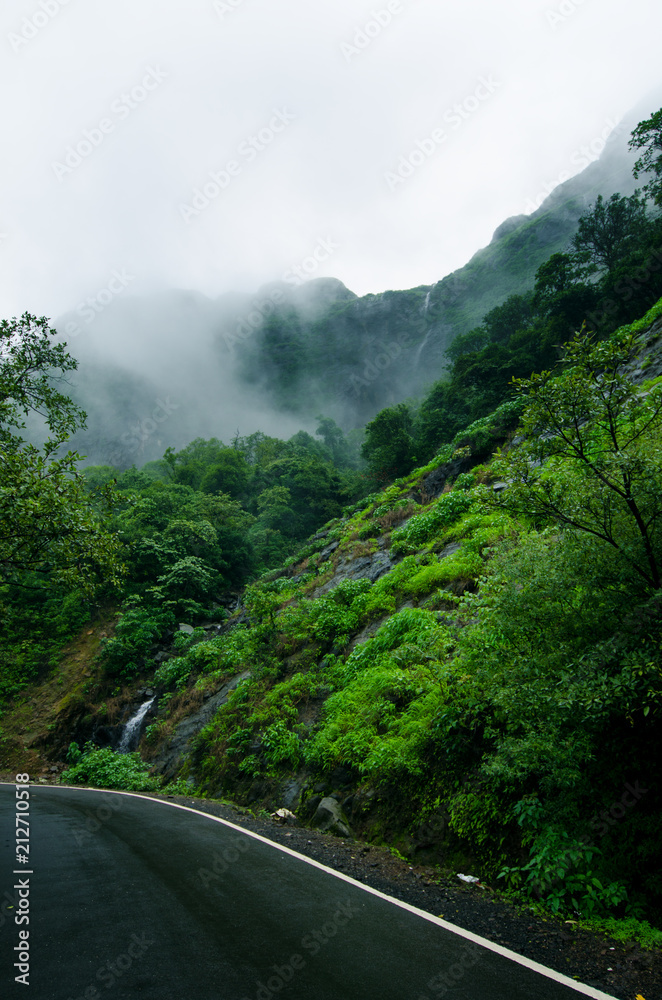 Beautiful Forest Pictures Rain