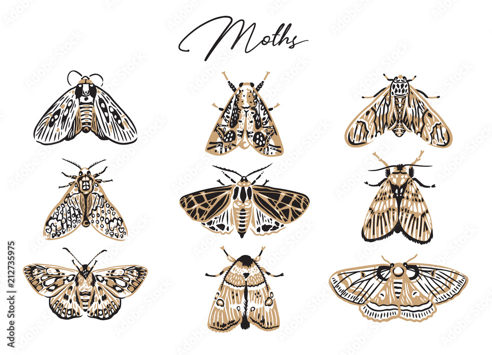 Cute butterfly and moth collection in retro style. Beautiful craft and ...