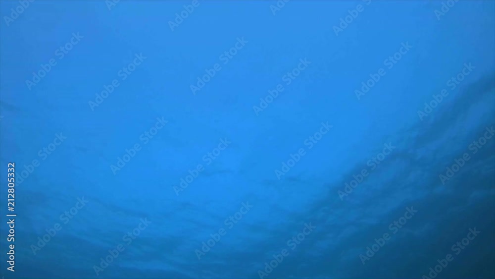 Underwater Blue Sea Background. Picture of blue water background blue ...