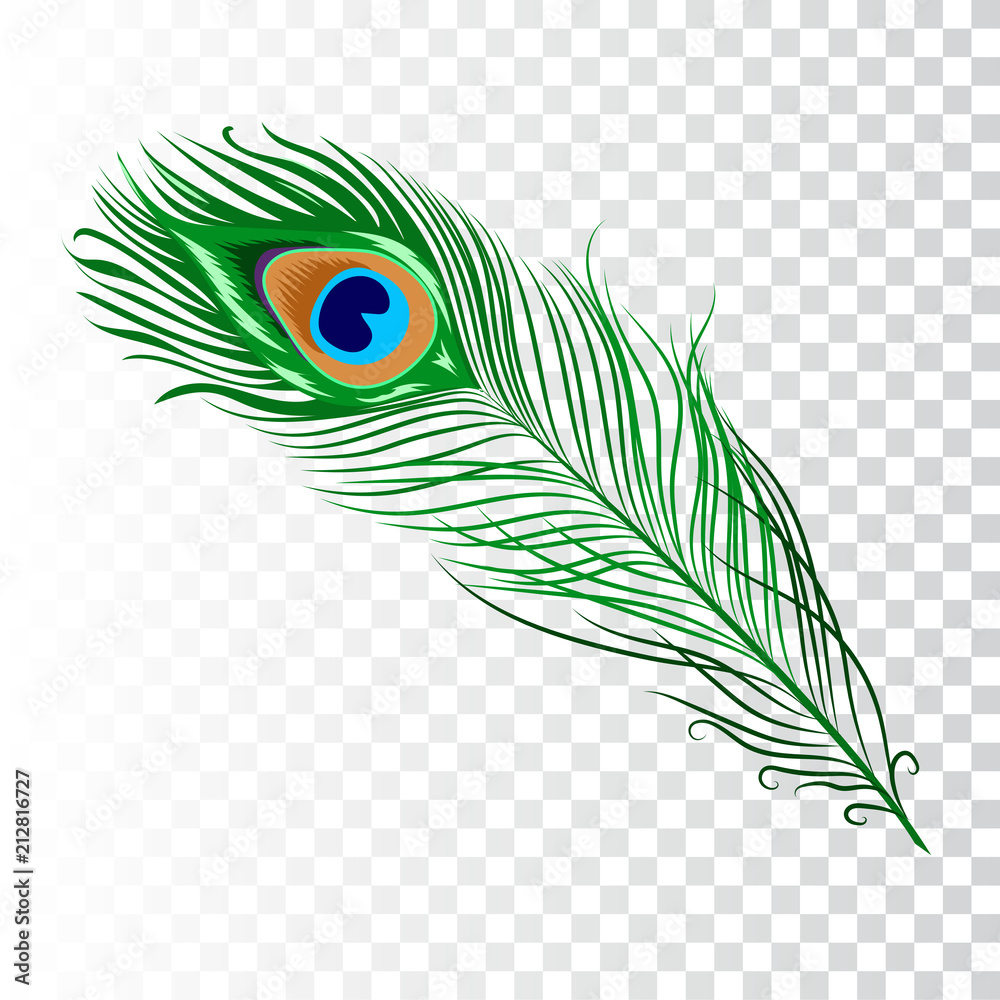 Peacock feather collection Stock Vector | Adobe Stock