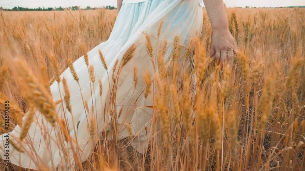 Plus size fashion model in slow motion video walking on field wheat ...