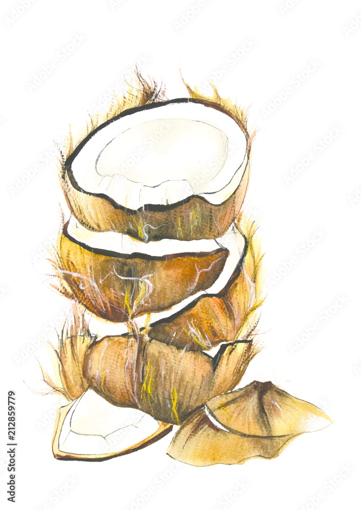 Broken Coconut Painting
