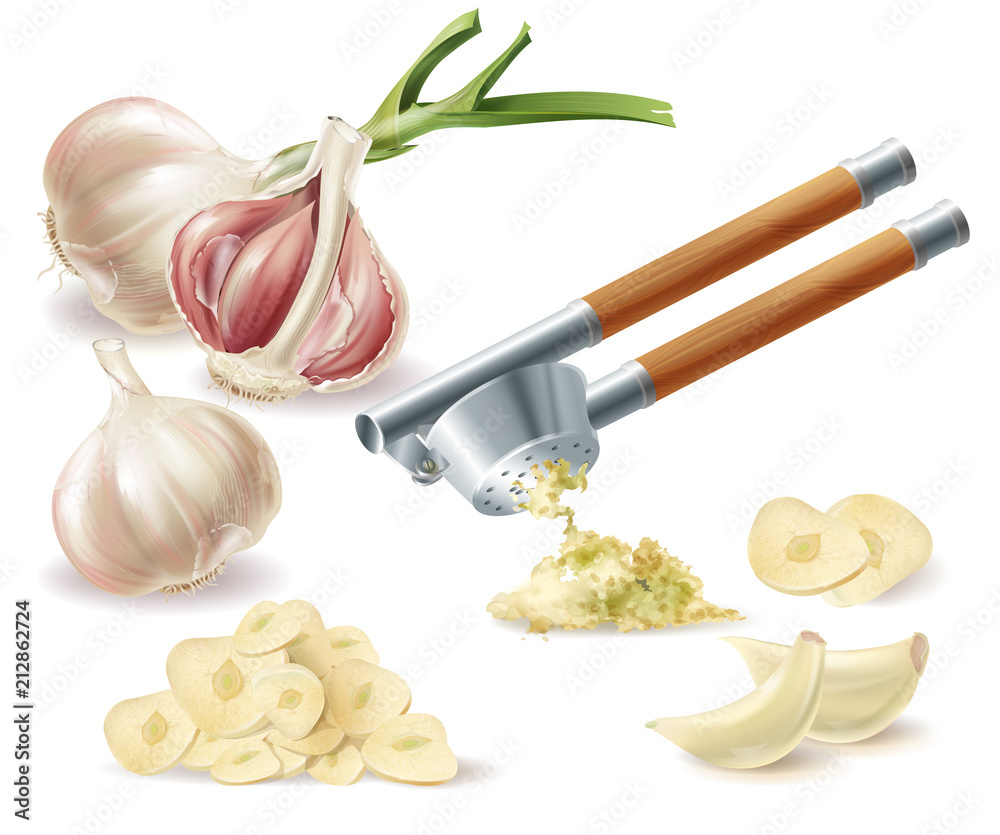 Chopped Onions Clip Art