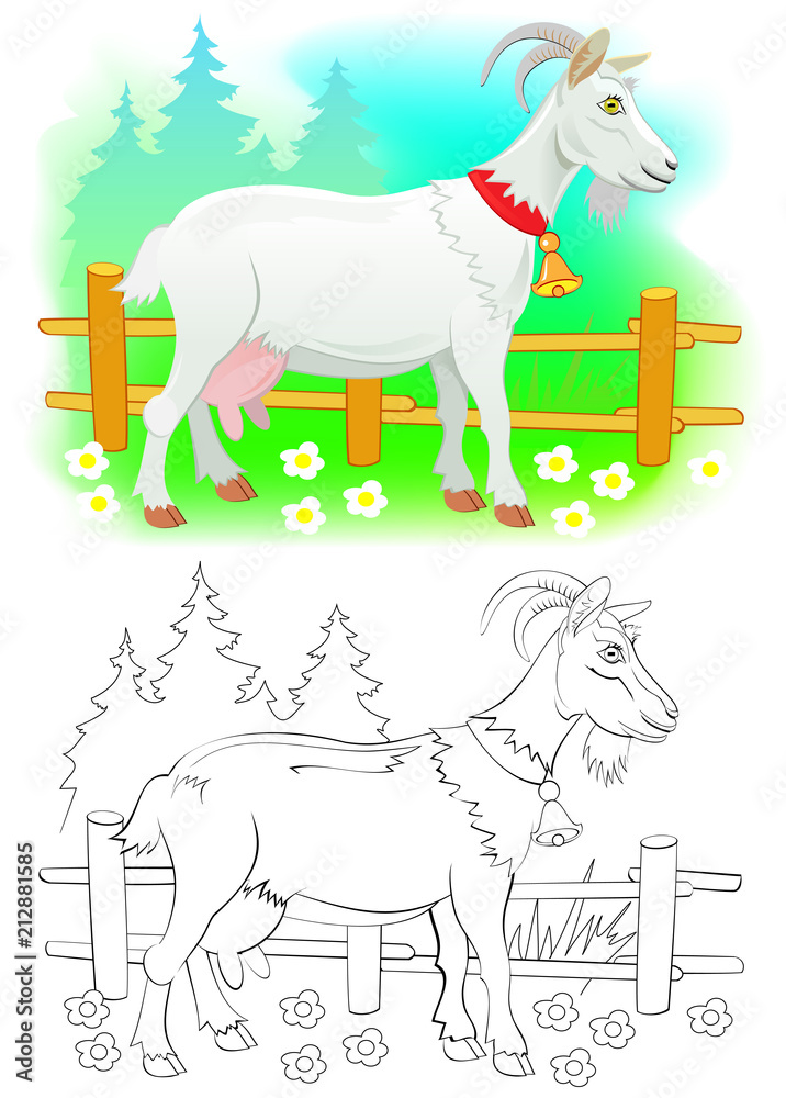Worksheets About Goats