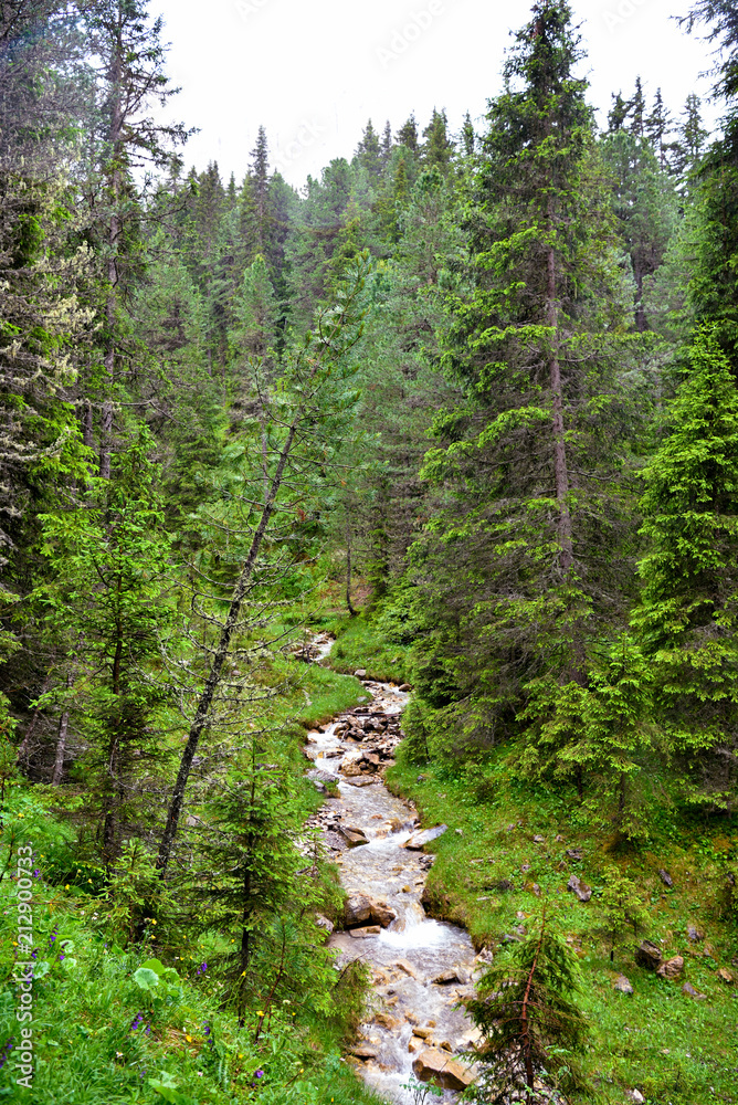Hiking trails in Val di Funes South Tyrol Italy Stock Photo | Adobe Stock