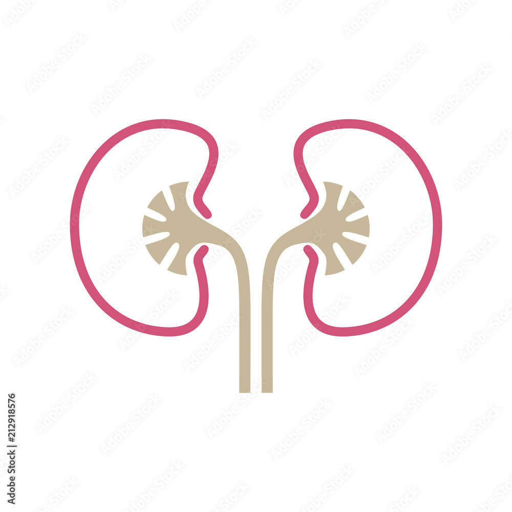 Kidneys human organ icon. Sign human kidneys. Kidneys symbol isolated ...