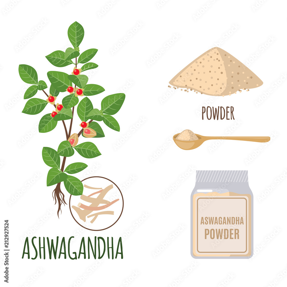 Ashwagandha set with powder and roots in flat style isolated on white ...