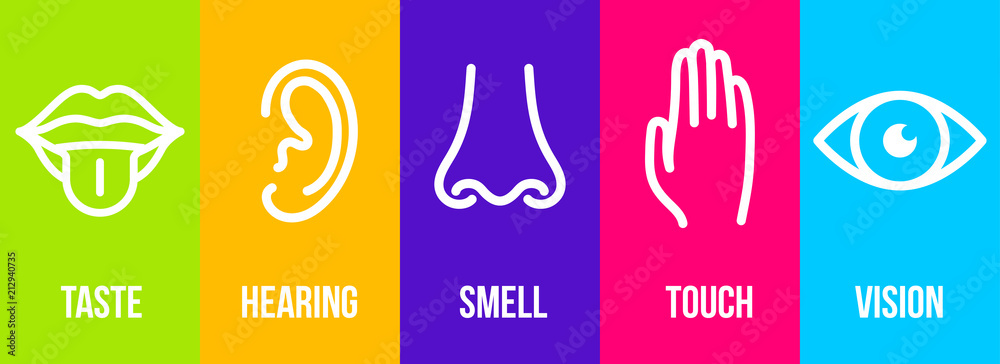 Creative vector illustration line icon set of five human senses. Vision ...