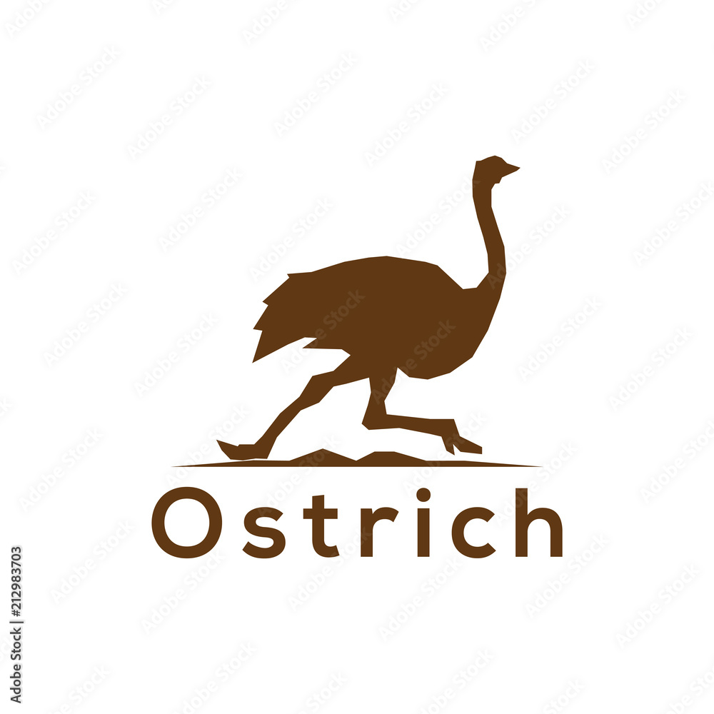 Ostrich bird logo vector element. Bird Logo Template Stock Vector ...