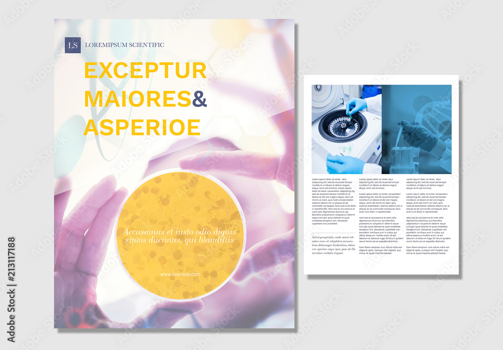 Double Sided Flyer Layout Stock Template | Adobe Stock