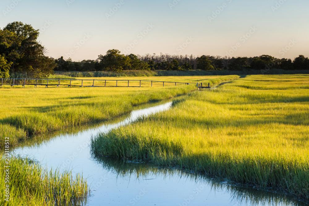waterway marsh field at sunset Stock Photo | Adobe Stock