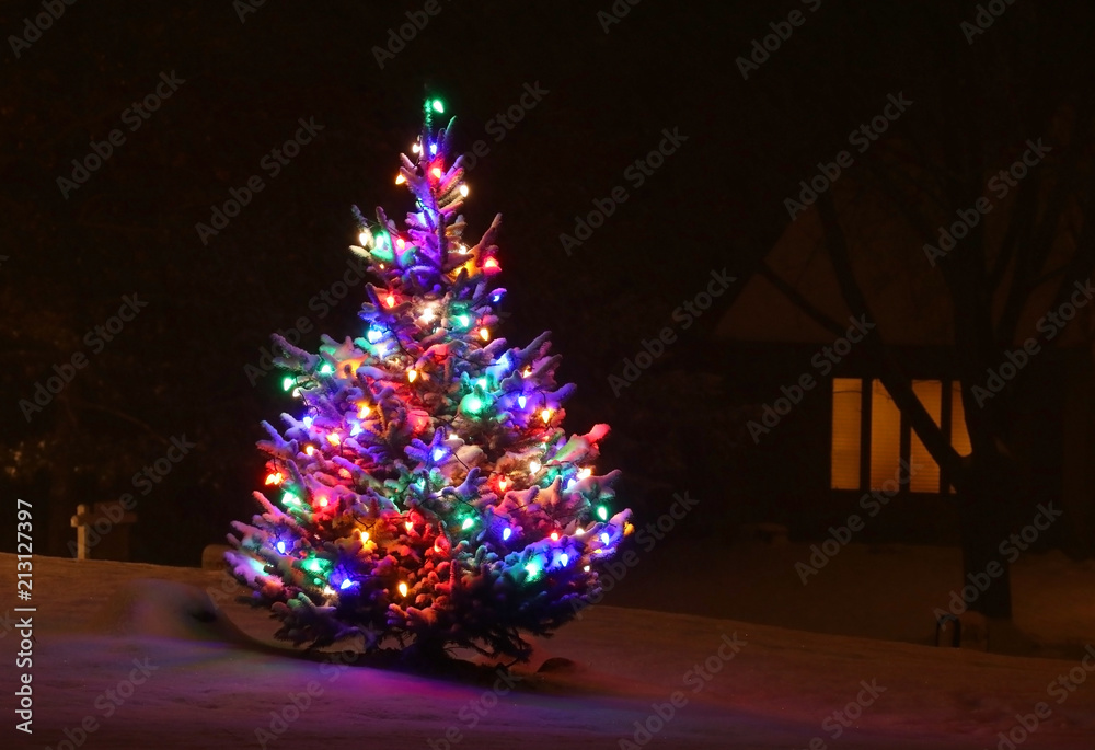 Christmas Tree Scenes Wallpaper