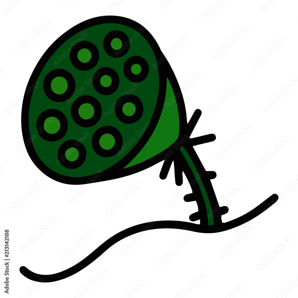 Lotus Plant Seed Pod cartoon illustration isolated on white background ...