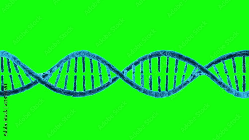 human cell DNA cyclic rotation on a green background with an alpha ...
