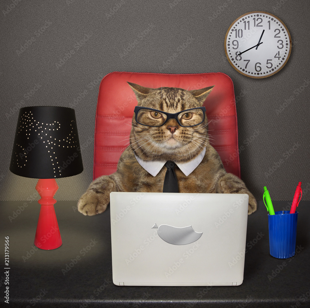 Smart Cats With Glasses